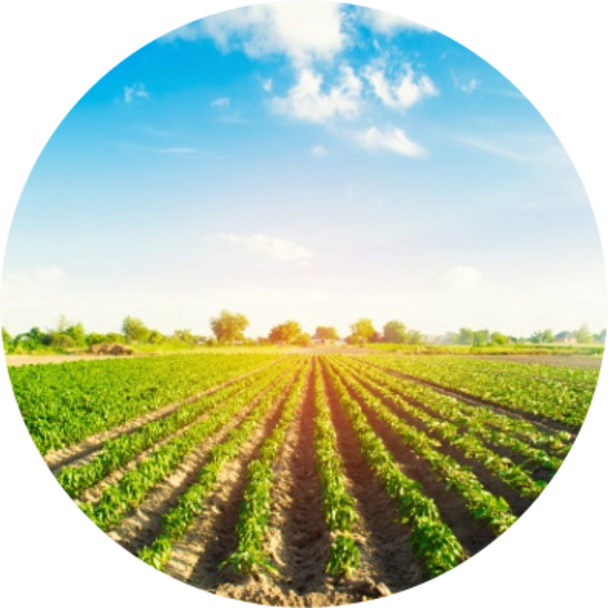 Srednja šola - Biotehniški center Naklo